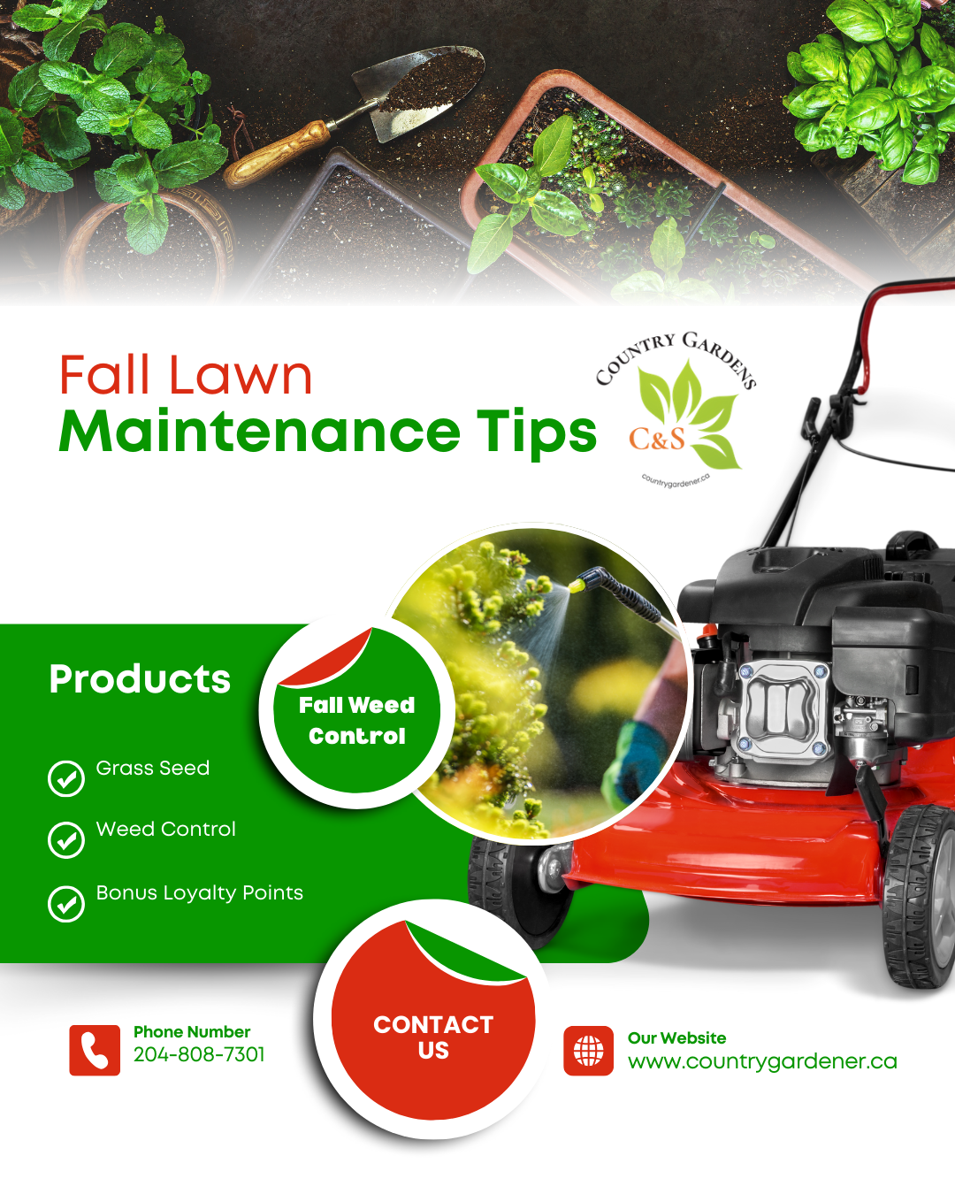 Fall Lawn Care Tips - Fertilization and Weed Control! – C+S Country Gardens